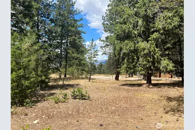 4 Mazama Meadows Ln, Mazama, WA 98833 - MLS 2413635 - Coldwell Banker