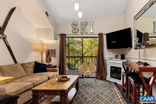 226 Timbers Condos, Wintergreen Resort, VA 22967 - MLS 670421 ...